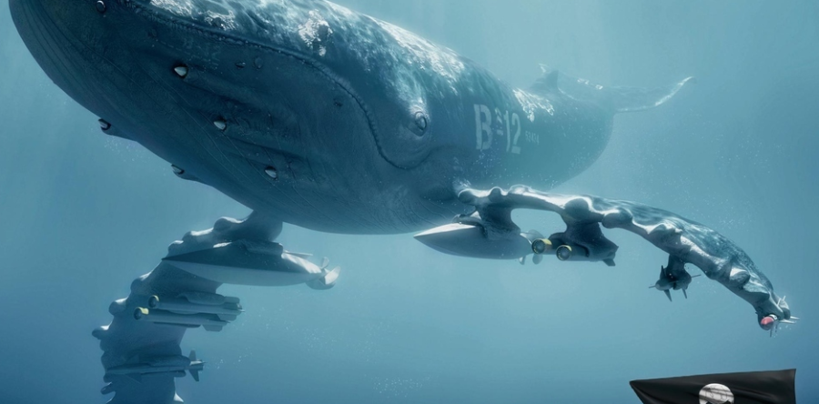 The Sea Shepherd Conservation Society & its Cause